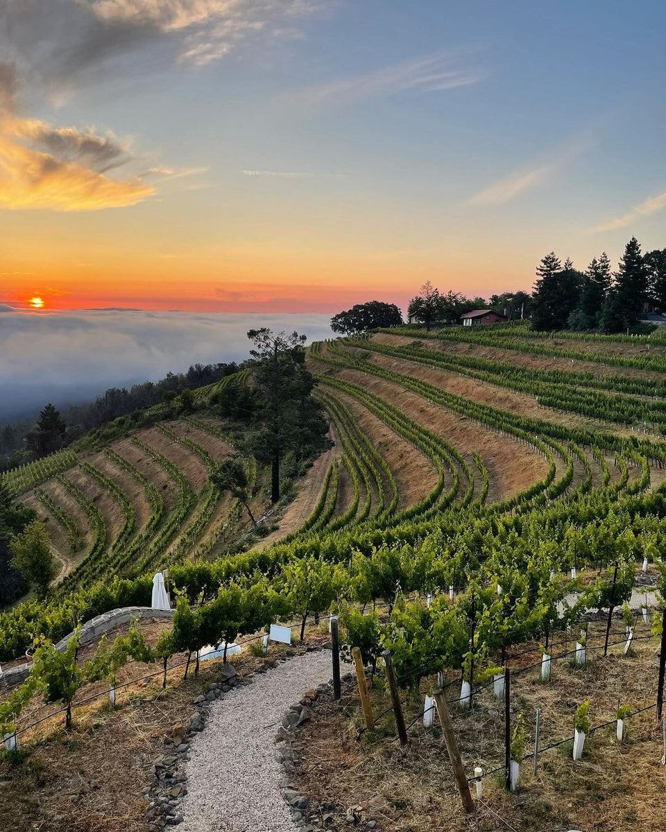 Barnett Vineyards Spring Mountain Cabernet Sauvignon 2021 (Napa Valley ...